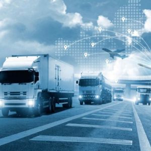 Effective Wellness Programs - Rolling Strong